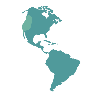 See the Bigger Picture